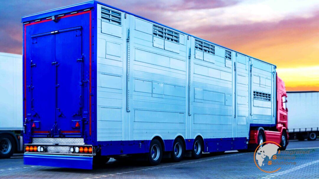 Canlı Hayvan Taşınmasında Bilinmesi Gerekenler | ISS Global